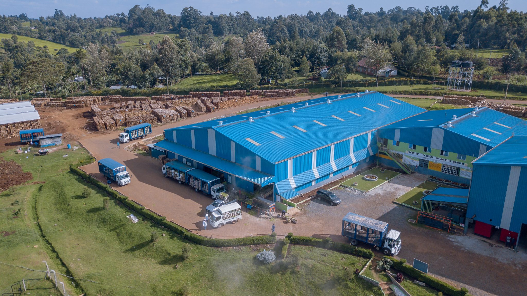 About Us – Tet Tea Factory